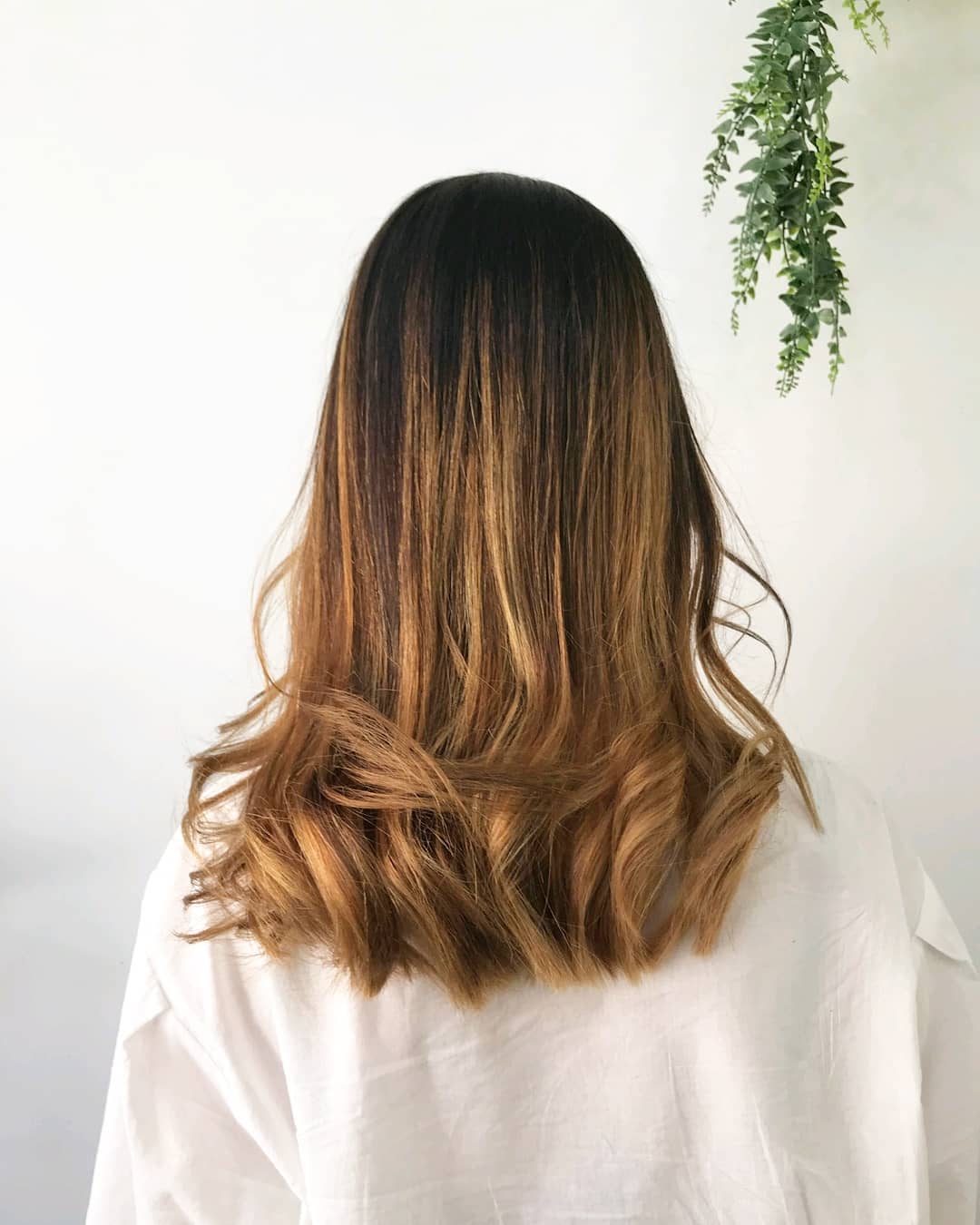 Hair Colourist in Brisbane | Hair Colour Specialist Hamilton